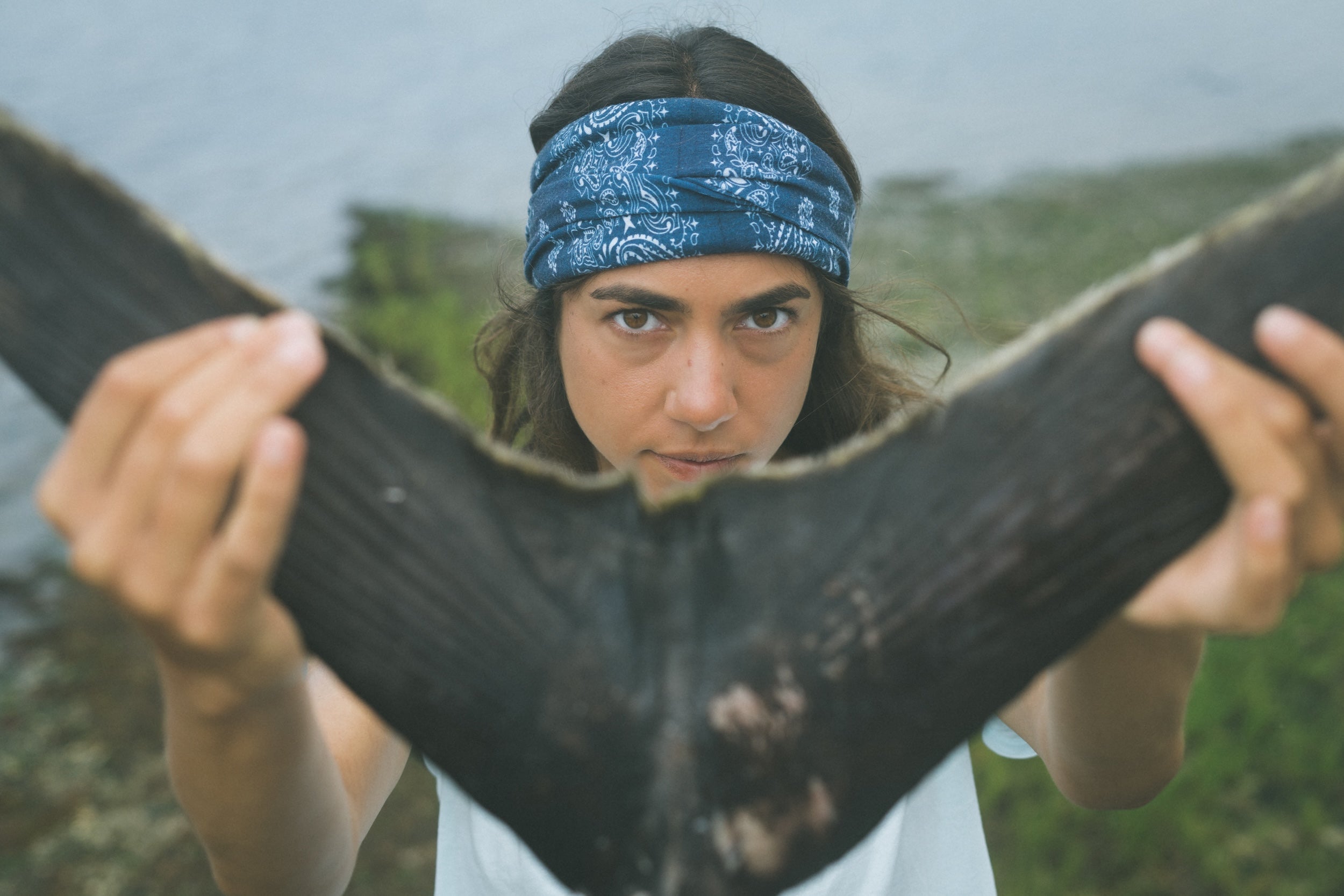 Levitate's 2023 Fall Catalog Is Here!